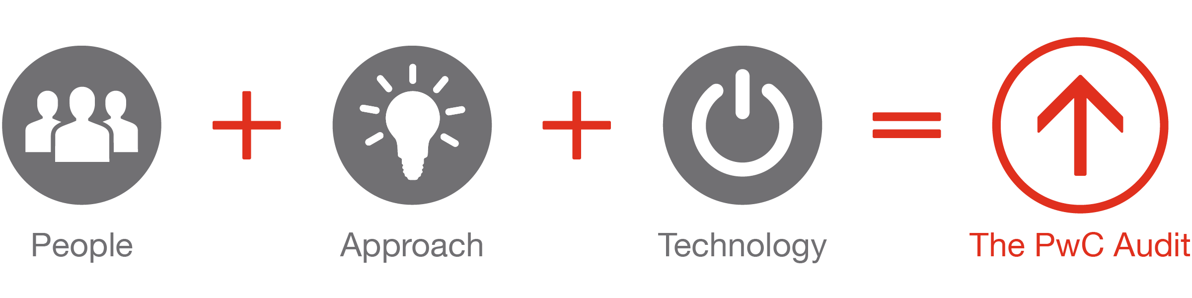 The PwC Audit | PwC Turkey